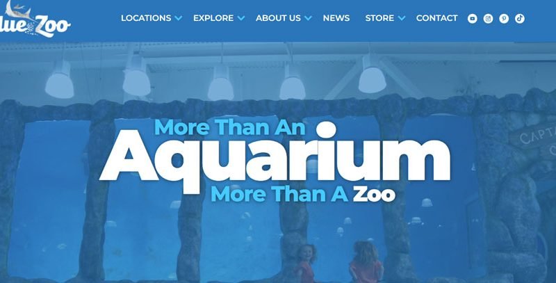Discovering the Delights of Blue Zoo in Rogers, AR - BlueSmartMia