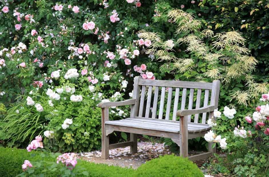 Creating a Stunning White Rose Garden Design Ideas and Combinations ...
