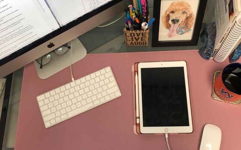 20 Must Have Items For Working From Home BlueSmartMia