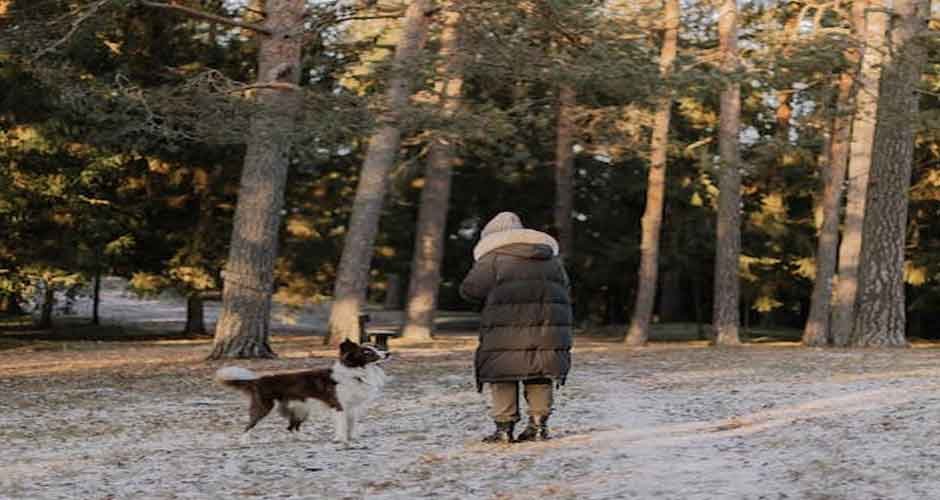 Top Winter-Proofing Tips For Homeowners: What To Do! - BlueSmartMia