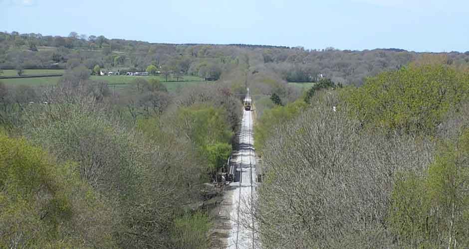 Timber Tactics: Advanced Approaches to Managing Overgrown Vegetation ...