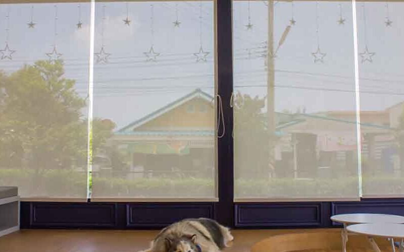 Front Window Shades – Why you should purchase one - BlueSmartMia