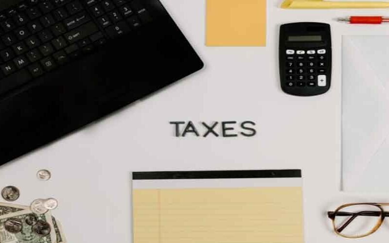 Maximizing Your Tax Return: The Pros and Cons of Hiring a Tax ...