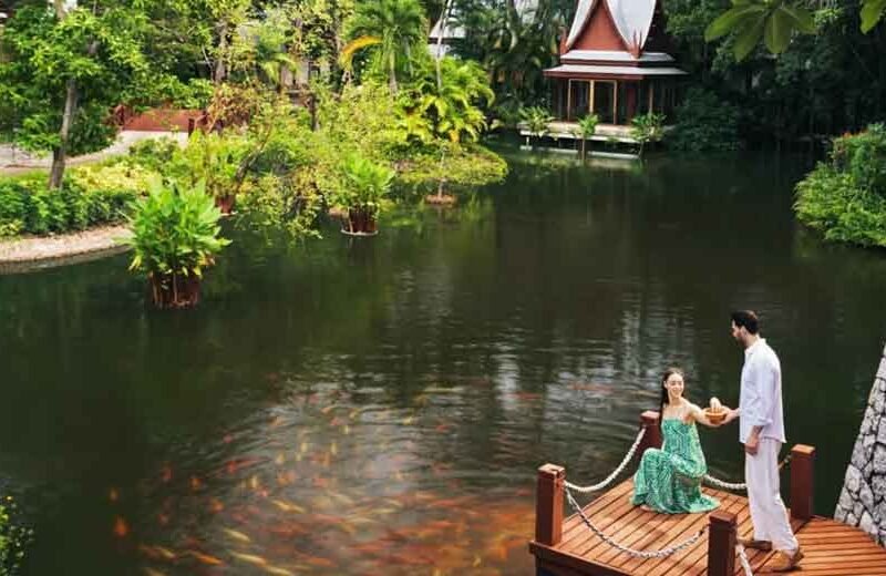 How a gut health detox resort in a stunning location can help the body ...